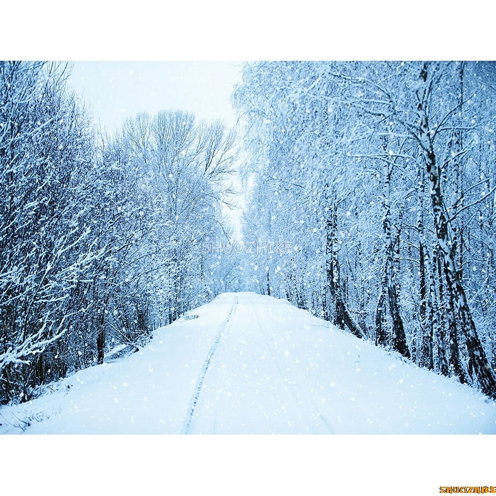 Winter Forest Snowcovered Road Photography Backdrops Blurred Landscape ...