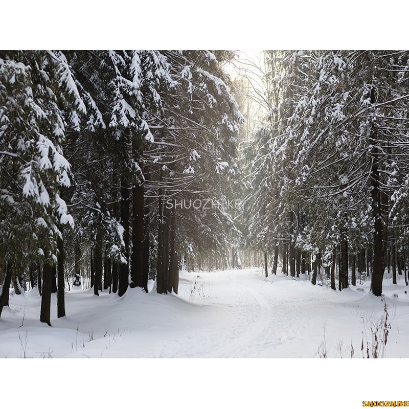 Winter Forest Snowcovered Road Photography Backdrops Blurred Landscape ...