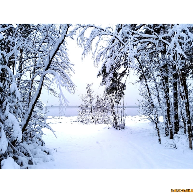 Winter Forest Snowcovered Road Photography Backdrops Blurred Landscape ...