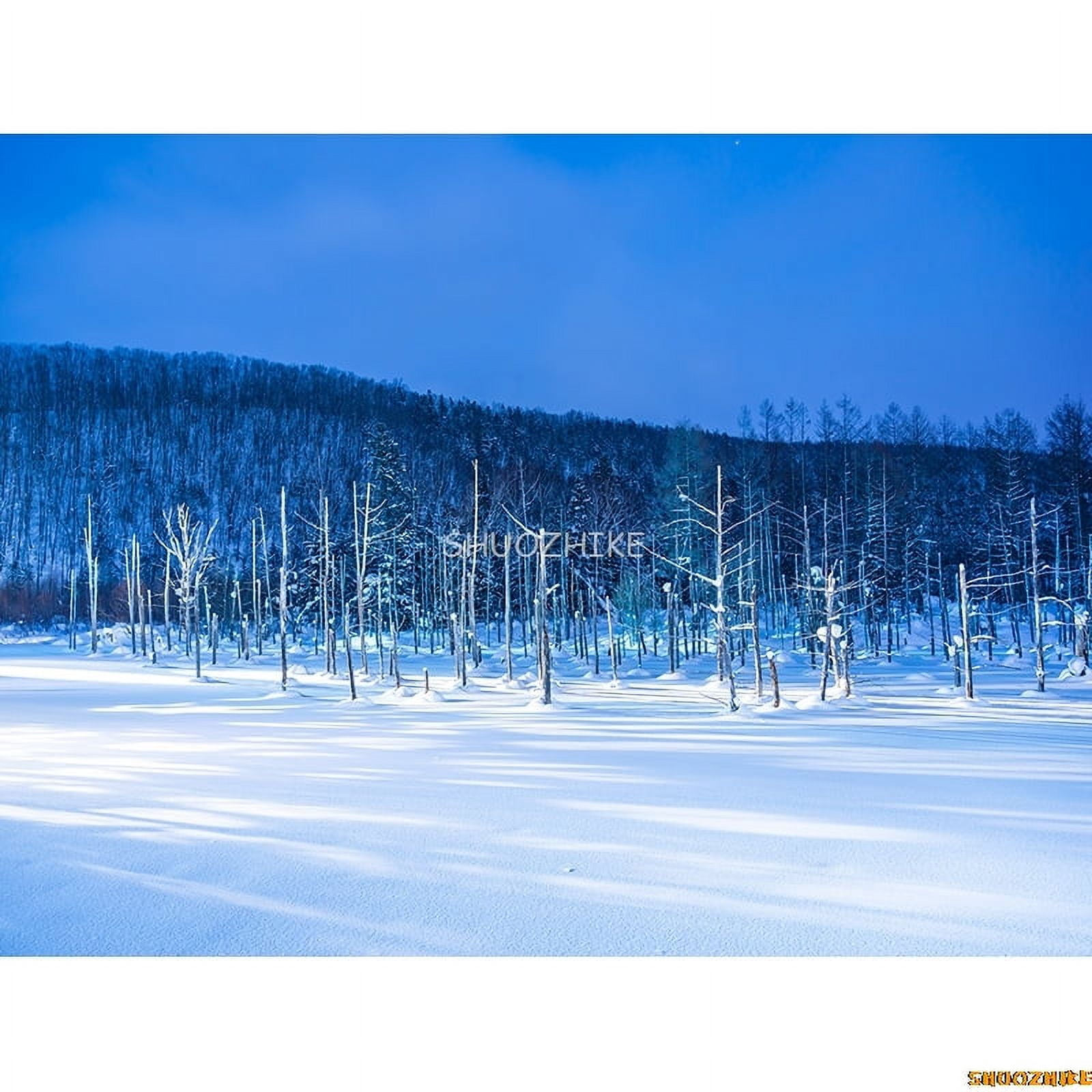 Winter Forest Snowcovered Road Photography Backdrops Blurred Landscape ...