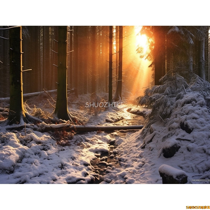 Winter Forest Snowcovered Road Photography Backdrops Blurred Landscape ...