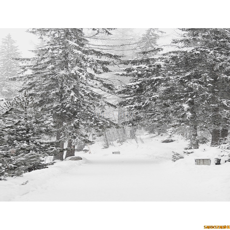 Winter Forest Snowcovered Road Photography Backdrops Blurred Landscape ...