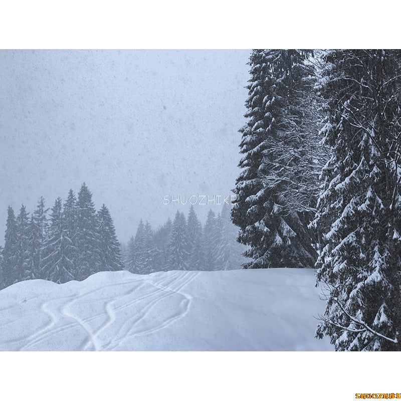 Winter Forest Snowcovered Road Photography Backdrops Blurred Landscape ...