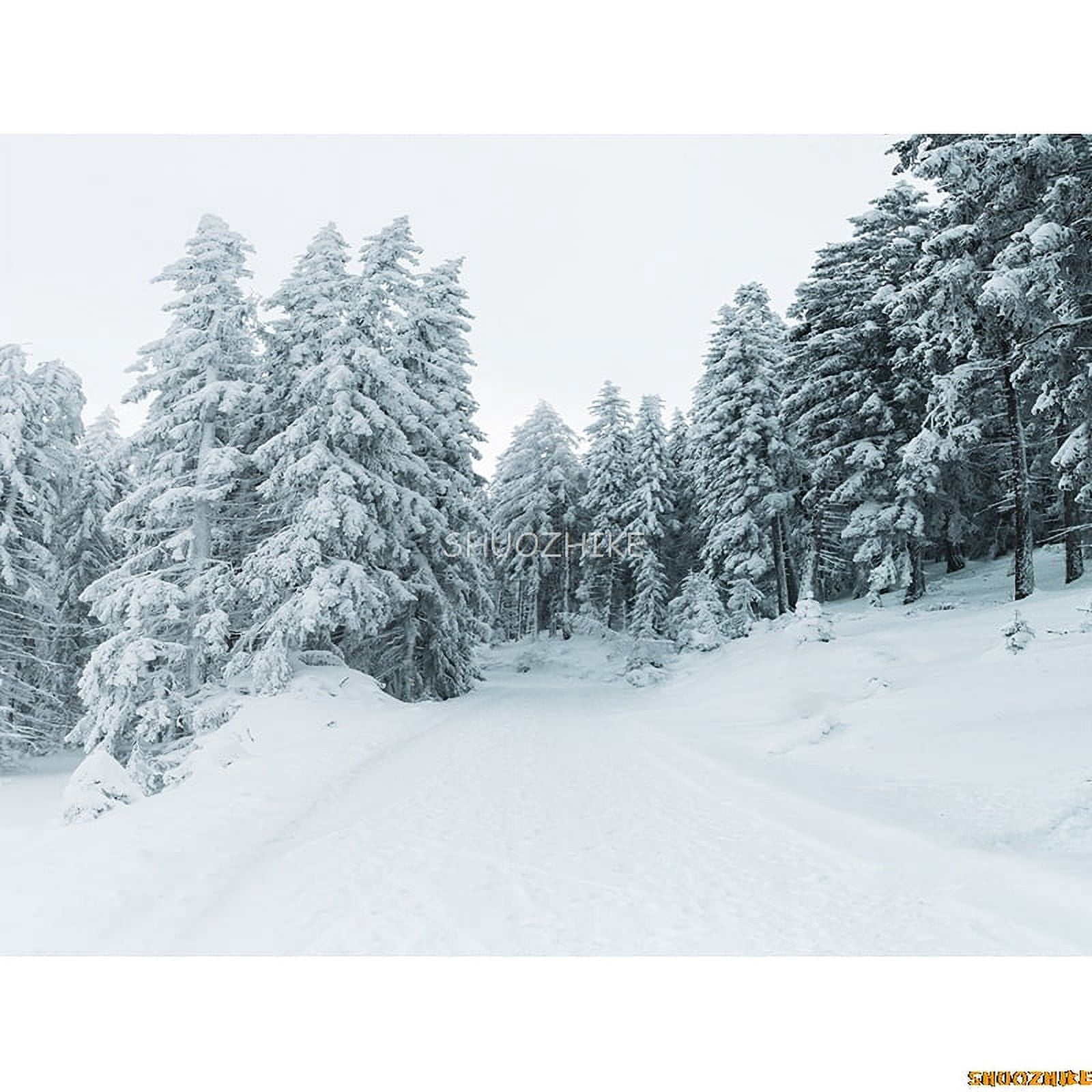 Winter Forest Snowcovered Road Photography Backdrops Blurred Landscape ...