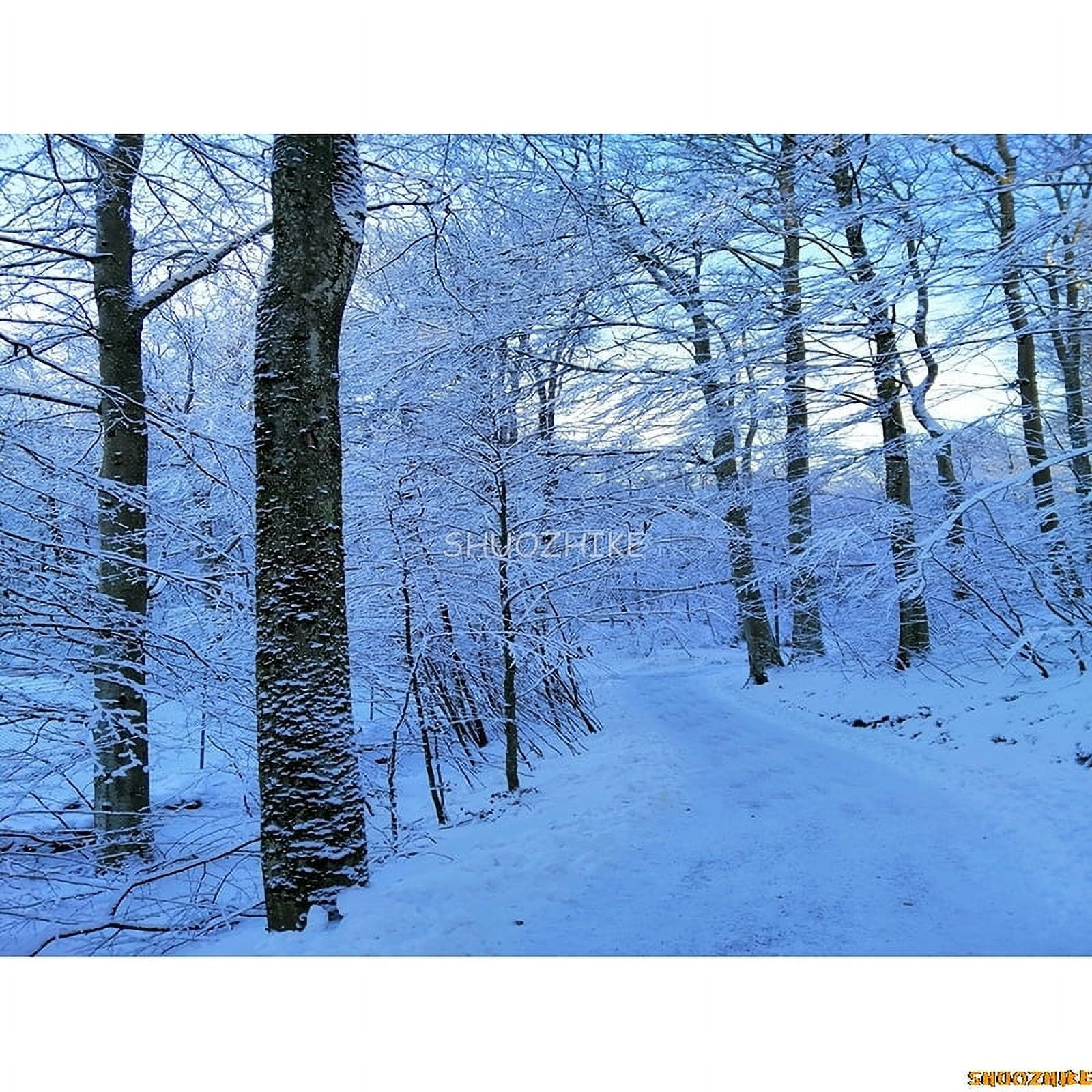 Winter Forest Snowcovered Road Photography Backdrops Blurred Landscape ...