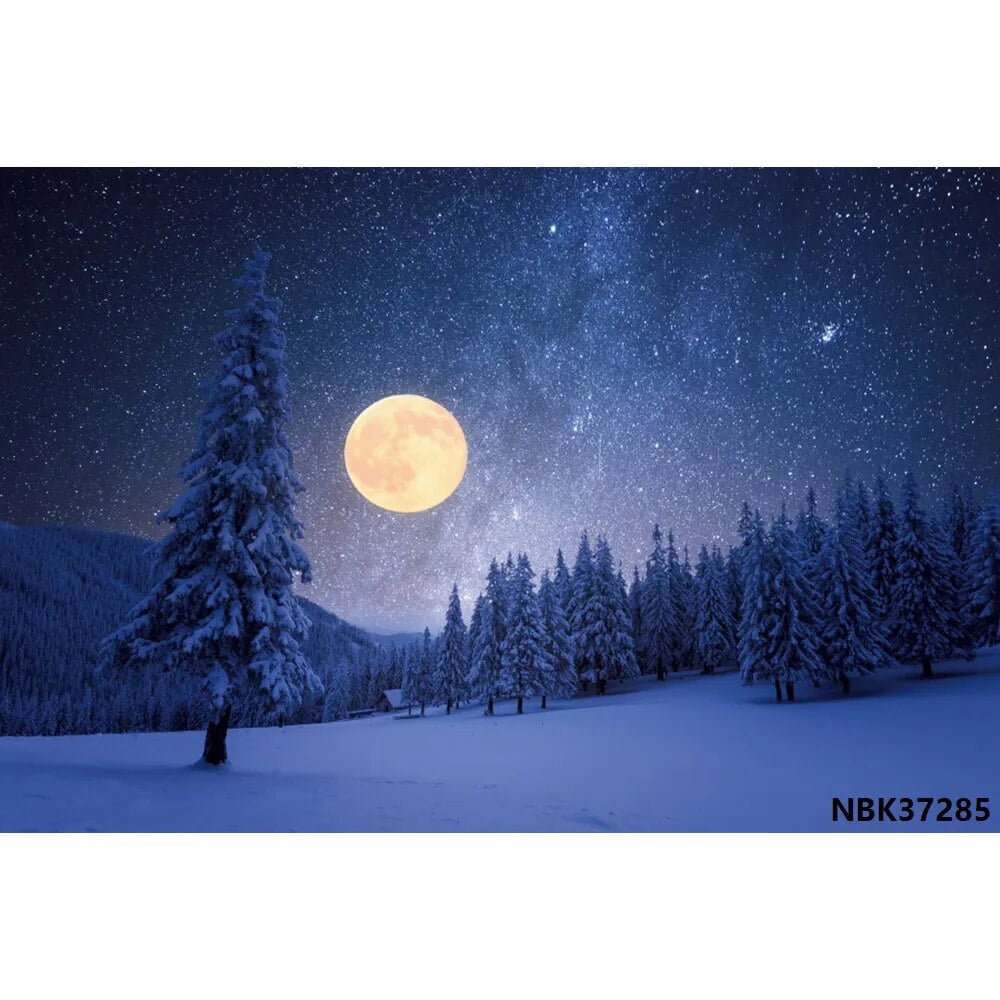 Winter Forest Trees Branches Snow Storm Landscape Photography Backdrops ...