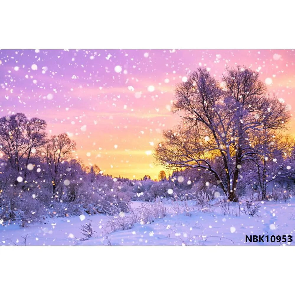 Winter Forest Trees Branches Snow Storm Landscape Photography Backdrops ...