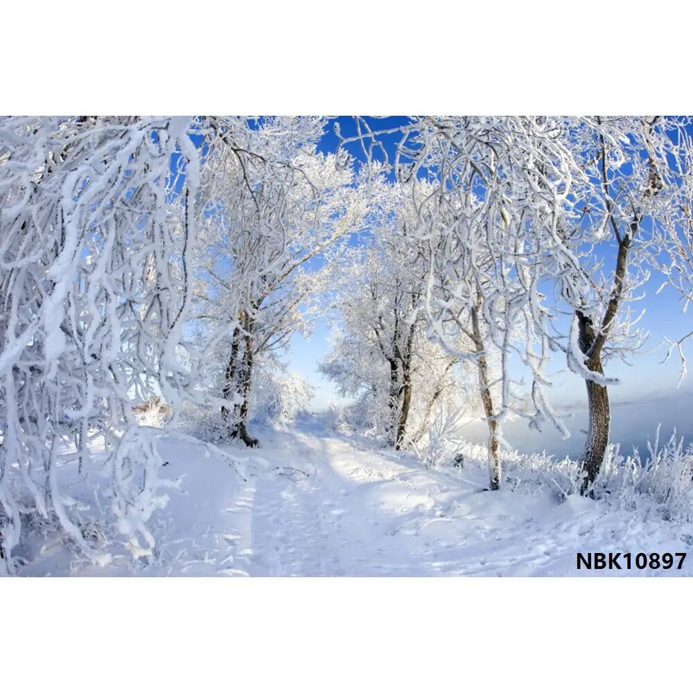 Winter Forest Trees Branches Snow Storm Landscape Photography Backdrops ...