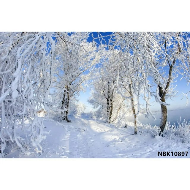 Winter Forest Trees Branches Snow Storm Landscape Photography Backdrops ...