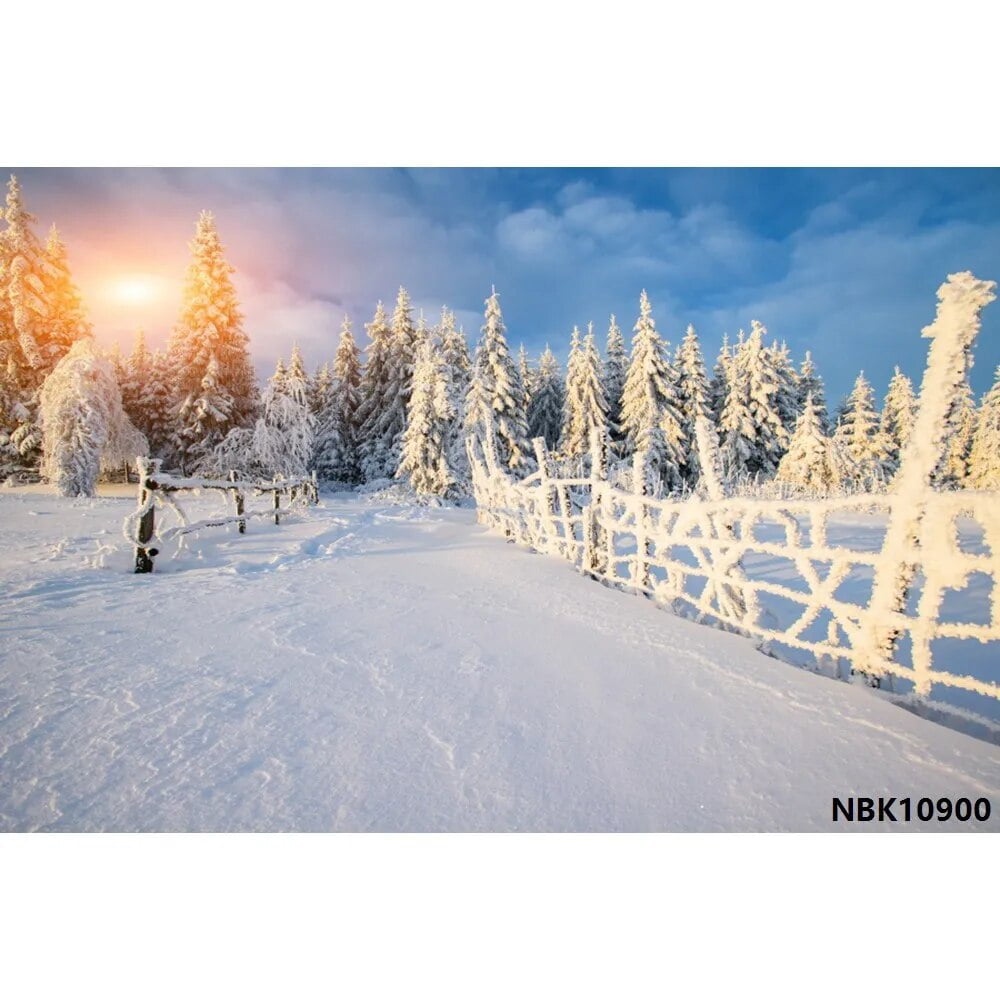 Winter Forest Trees Branches Snow Storm Landscape Photography Backdrops ...