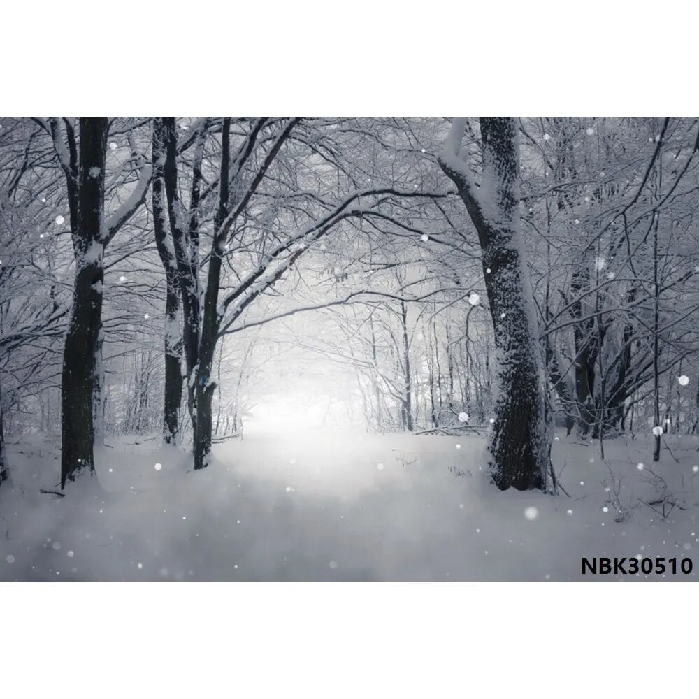 Winter Forest Trees Branches Snow Storm Landscape Photography Backdrops ...