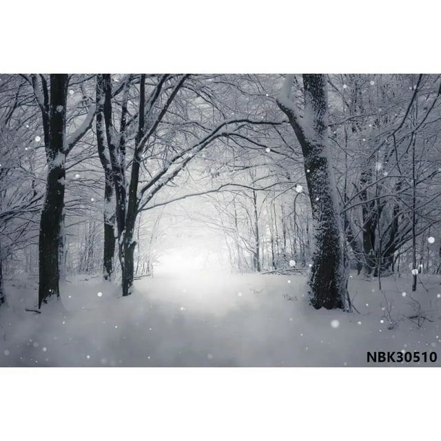 Winter Forest Trees Branches Snow Storm Landscape Photography Backdrops ...