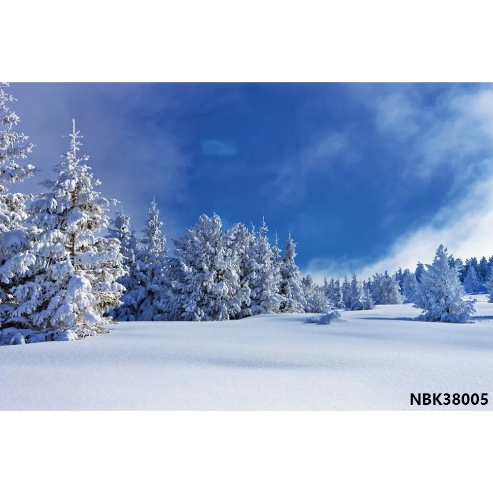 Winter Forest Trees Branches Snow Storm Landscape Photography Backdrops ...