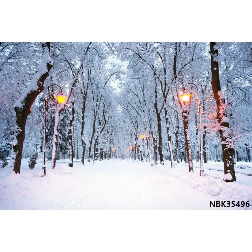 Winter Forest Trees Branches Snow Storm Landscape Photography Backdrops ...