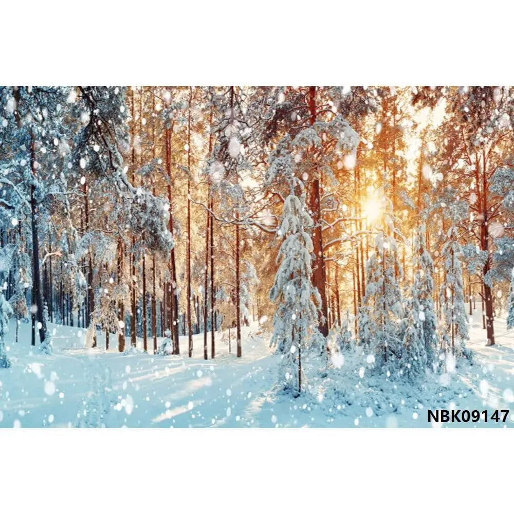 Winter Forest Trees Branches Snow Storm Landscape Photography Backdrops ...