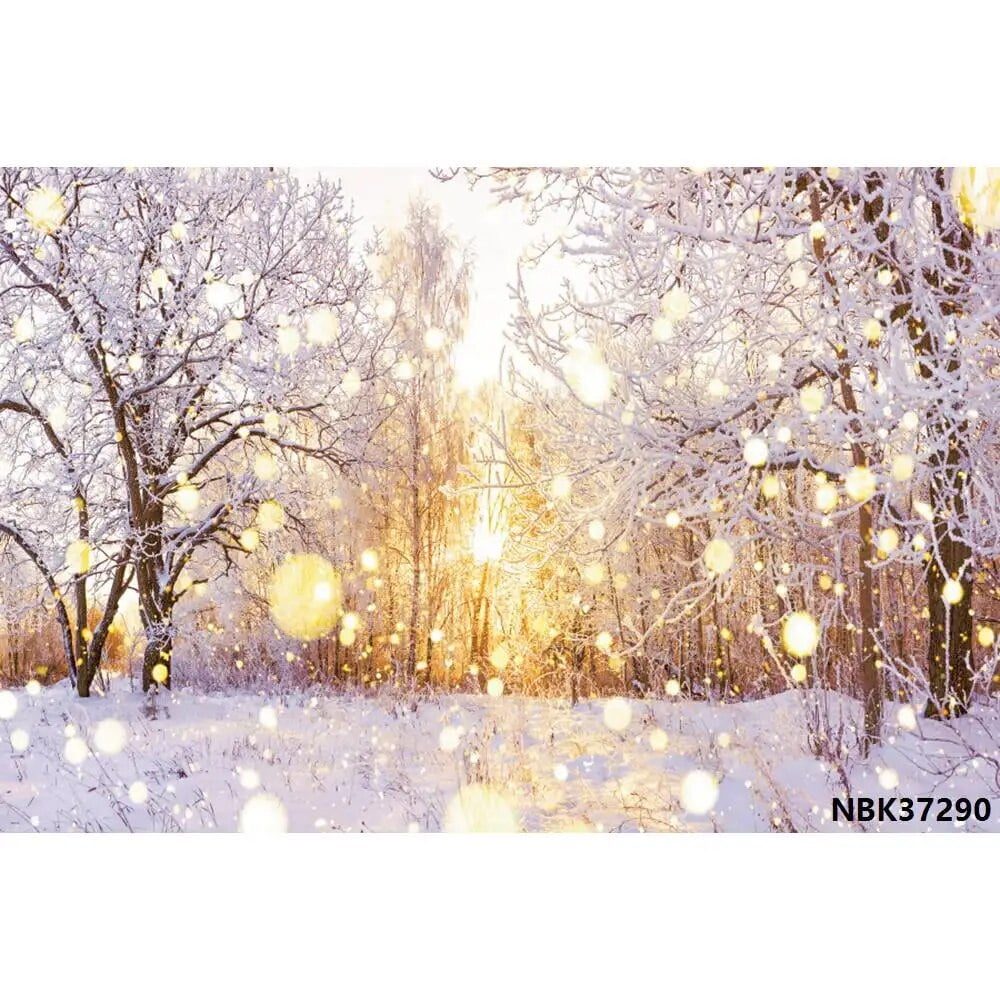 Winter Forest Trees Branches Snow Storm Landscape Photography Backdrops ...