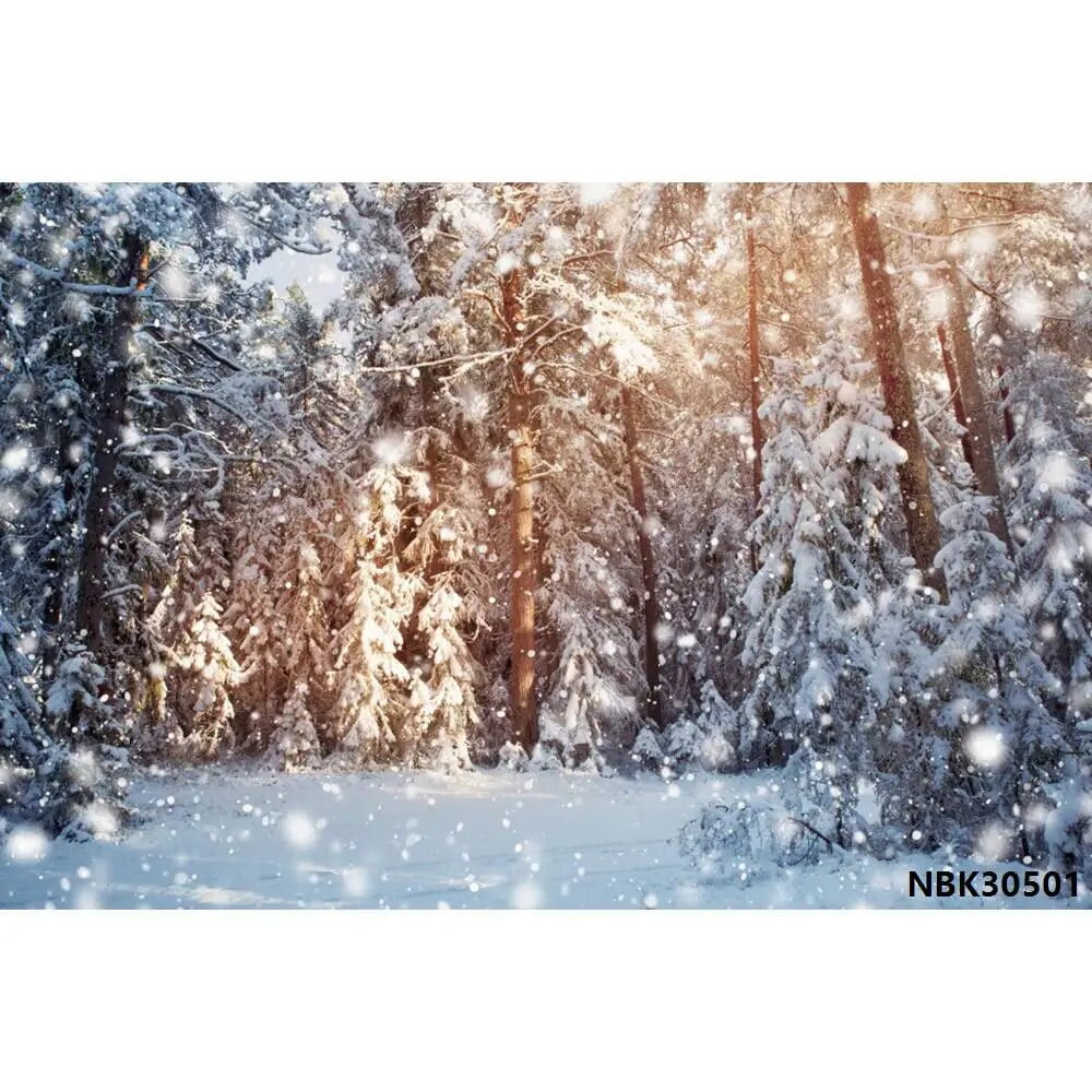 Winter Forest Trees Branches Snow Storm Landscape Photography Backdrops ...