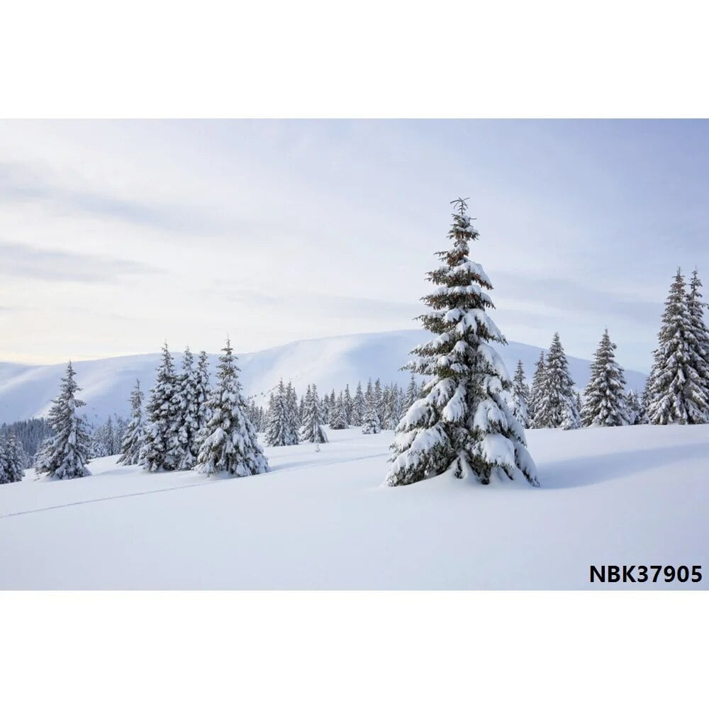 Winter Forest Trees Branches Snow Storm Landscape Photography Backdrops ...