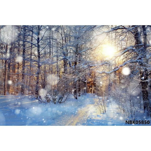 Winter Forest Trees Branches Snow Storm Landscape Photography Backdrops ...