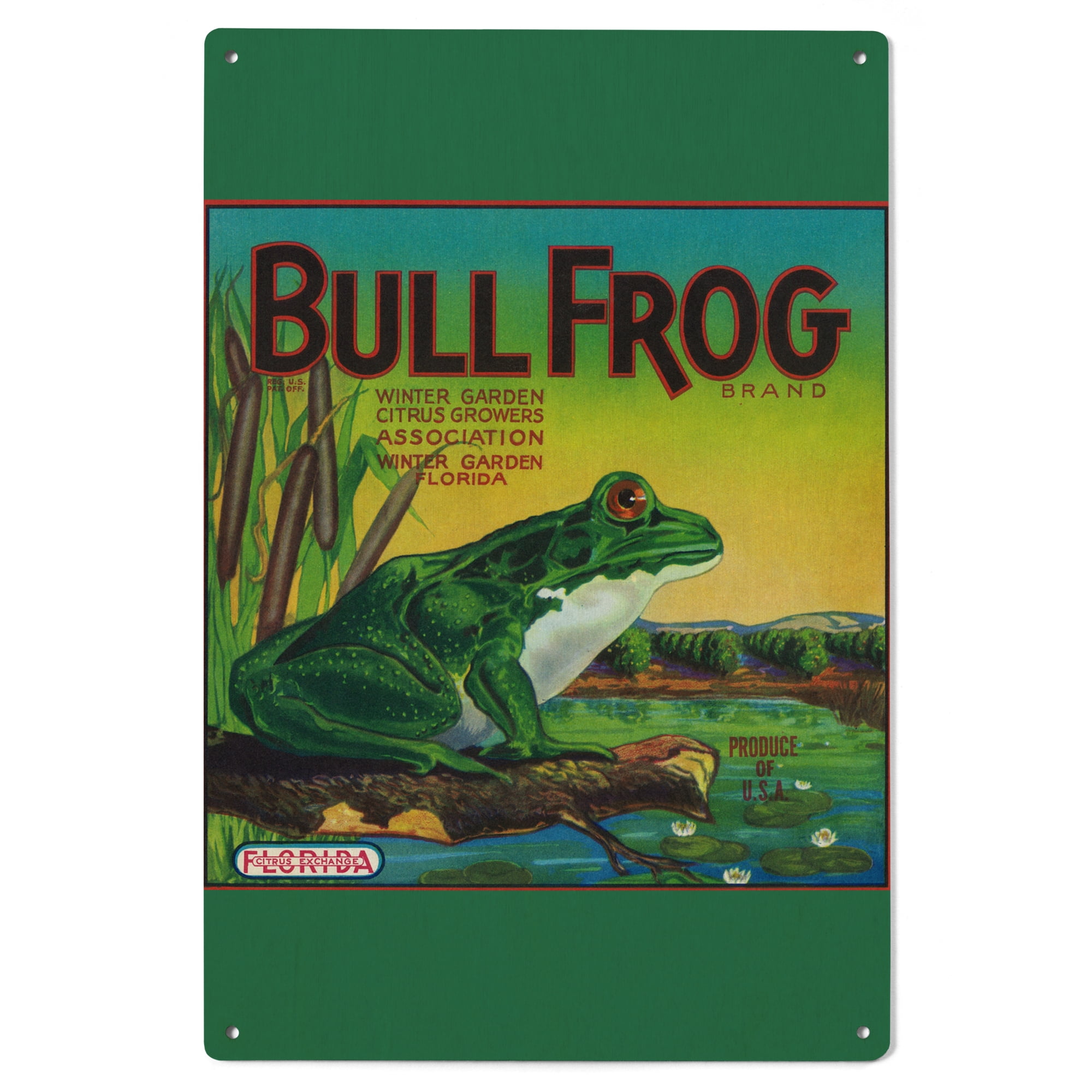 Winter Garden, Florida, Bull Frog Brand Citrus Label Birch Wood Wall ...
