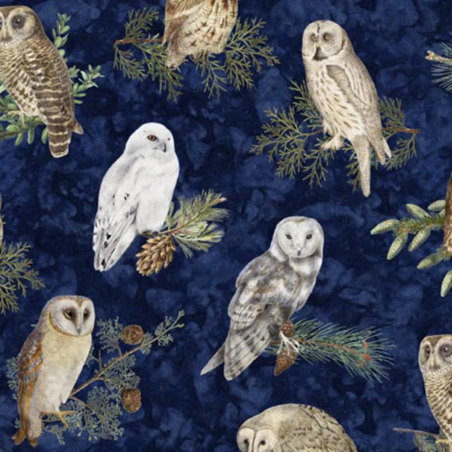 Winter Haven Owls Blue Cotton Fabric - Walmart.com