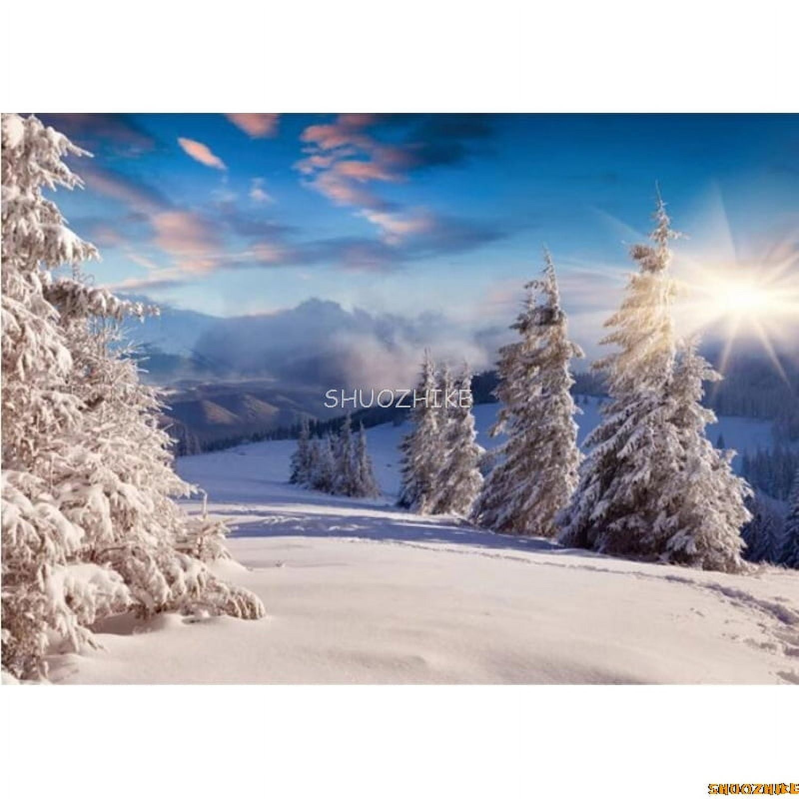 Winter Landscape Pine Forest Photography Backdrops Mountain Snow Nature ...
