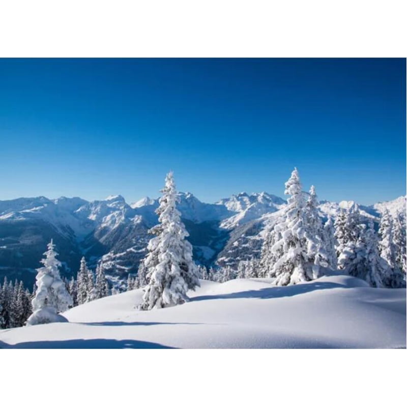 Winter Landscape Pine Forest Photography Backdrops Mountain Snow Nature ...