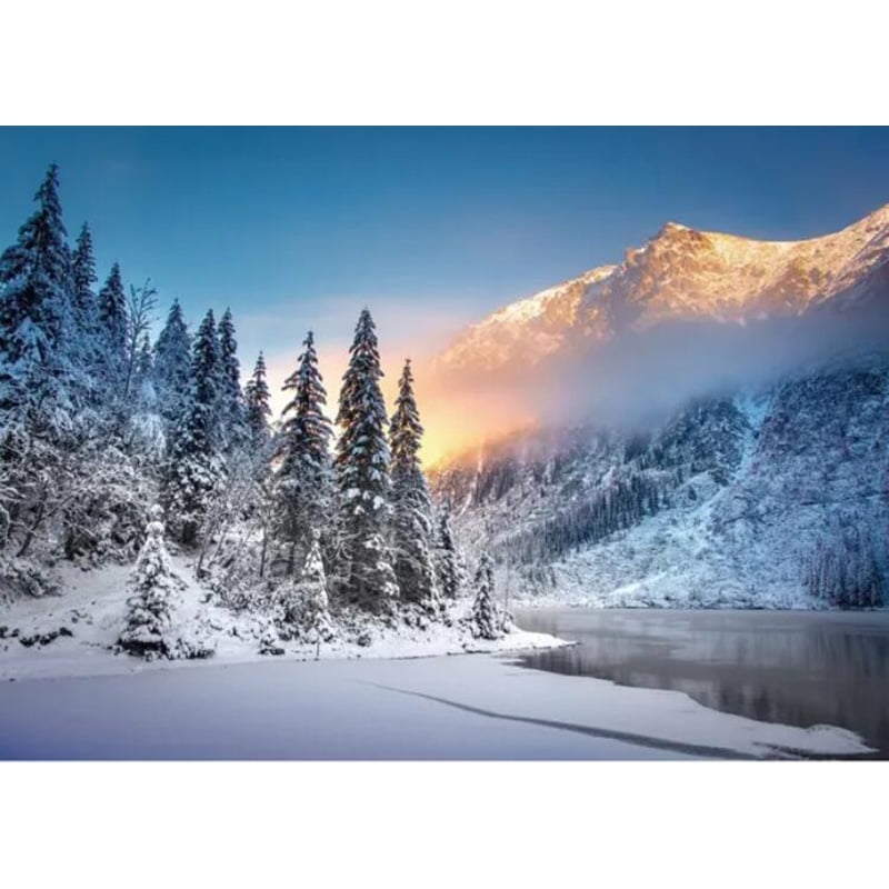 Winter Landscape Pine Forest Photography Backdrops Mountain Snow Nature ...