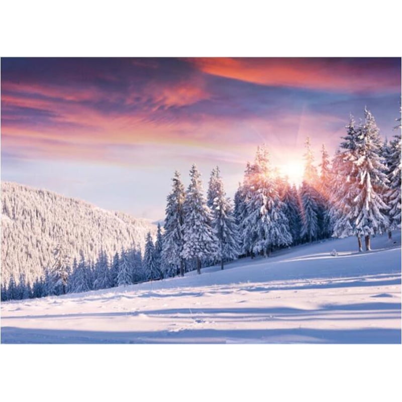 Winter Landscape Pine Forest Photography Backdrops Mountain Snow Nature ...