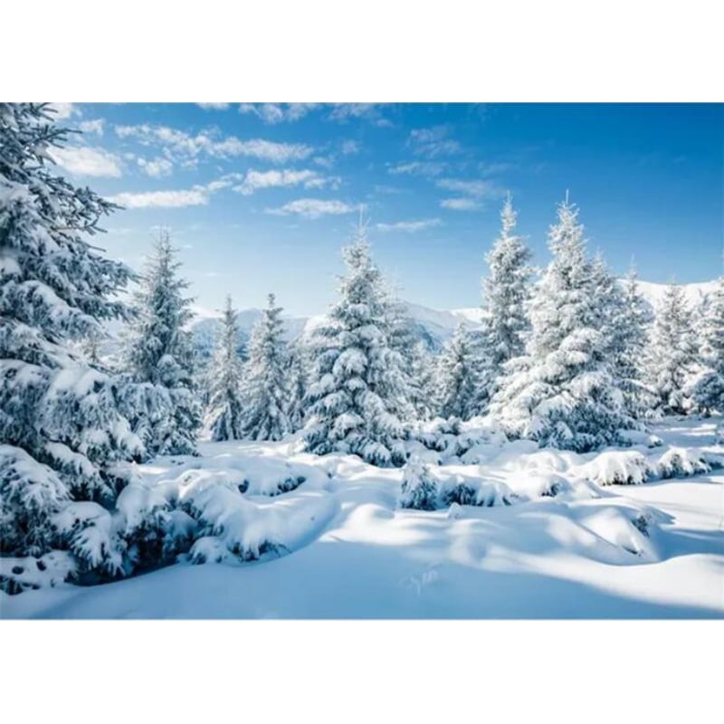 Winter Landscape Pine Forest Photography Backdrops Mountain Snow Nature ...