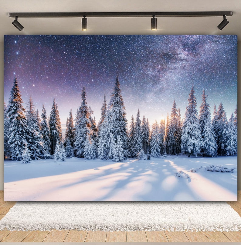 Winter Night Aurora Christmas Backdrop Starry Sky Moon Night Snowman ...
