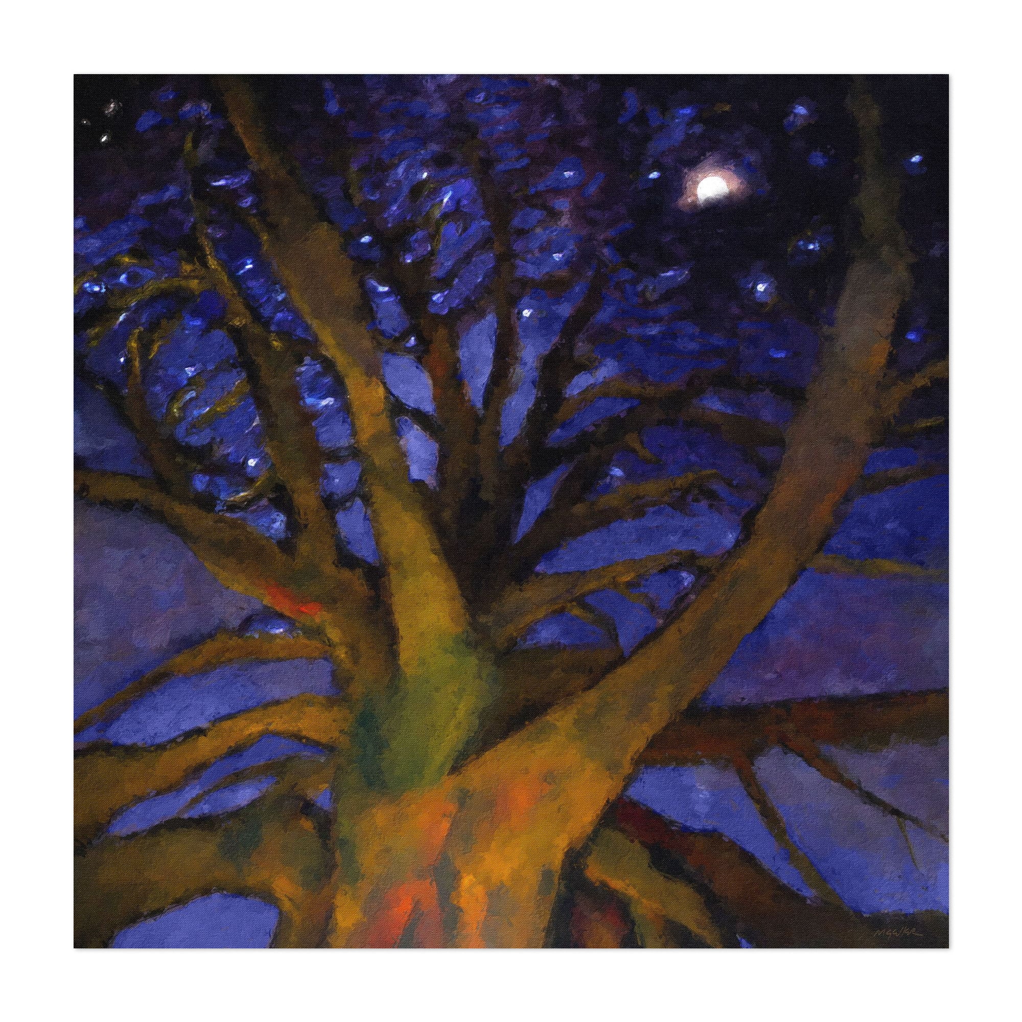 Winter Night - Digital Art Night Sky Stars Fantasy Moon Surrealism ...