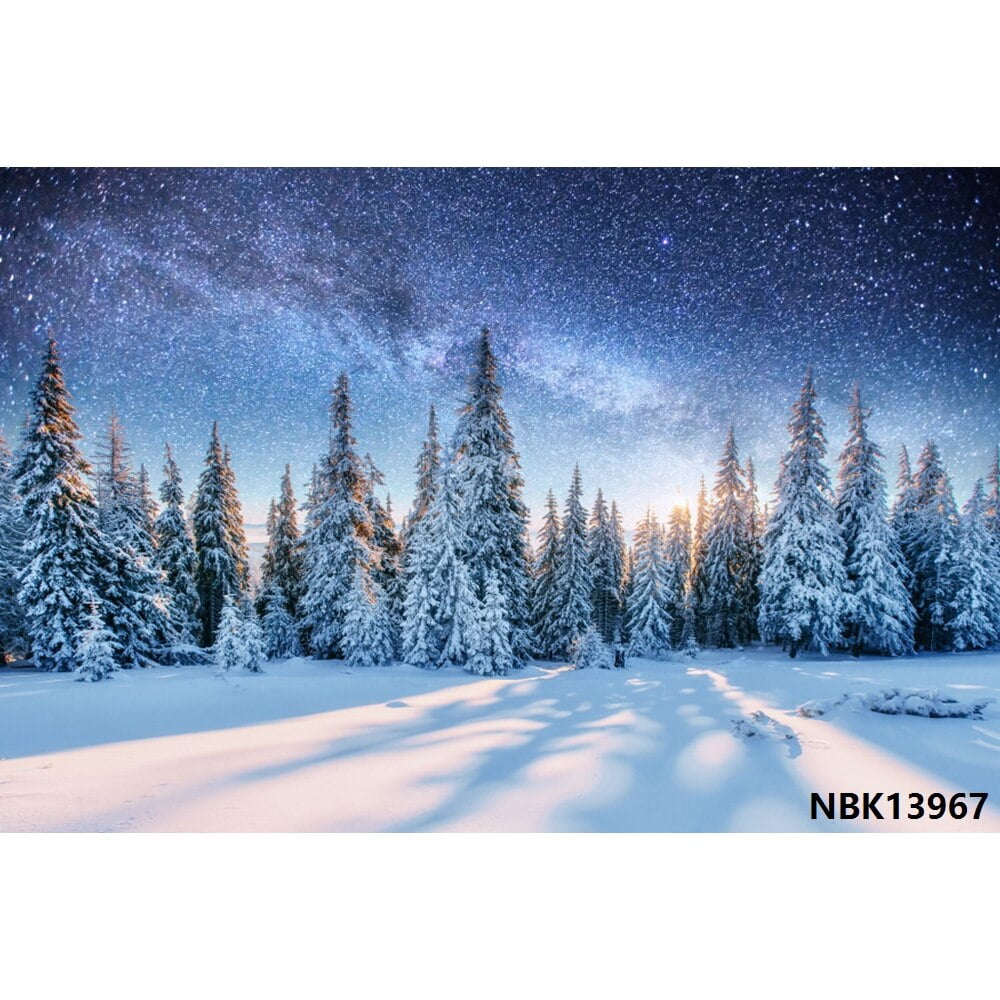 Winter Night Tree Snowflake Bokeh Road Nature Photography Backdrops ...