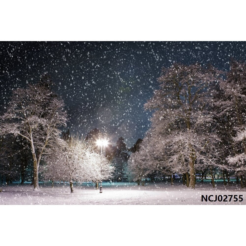 Winter Night Tree Snowflake Bokeh Road Nature Photography Backdrops ...