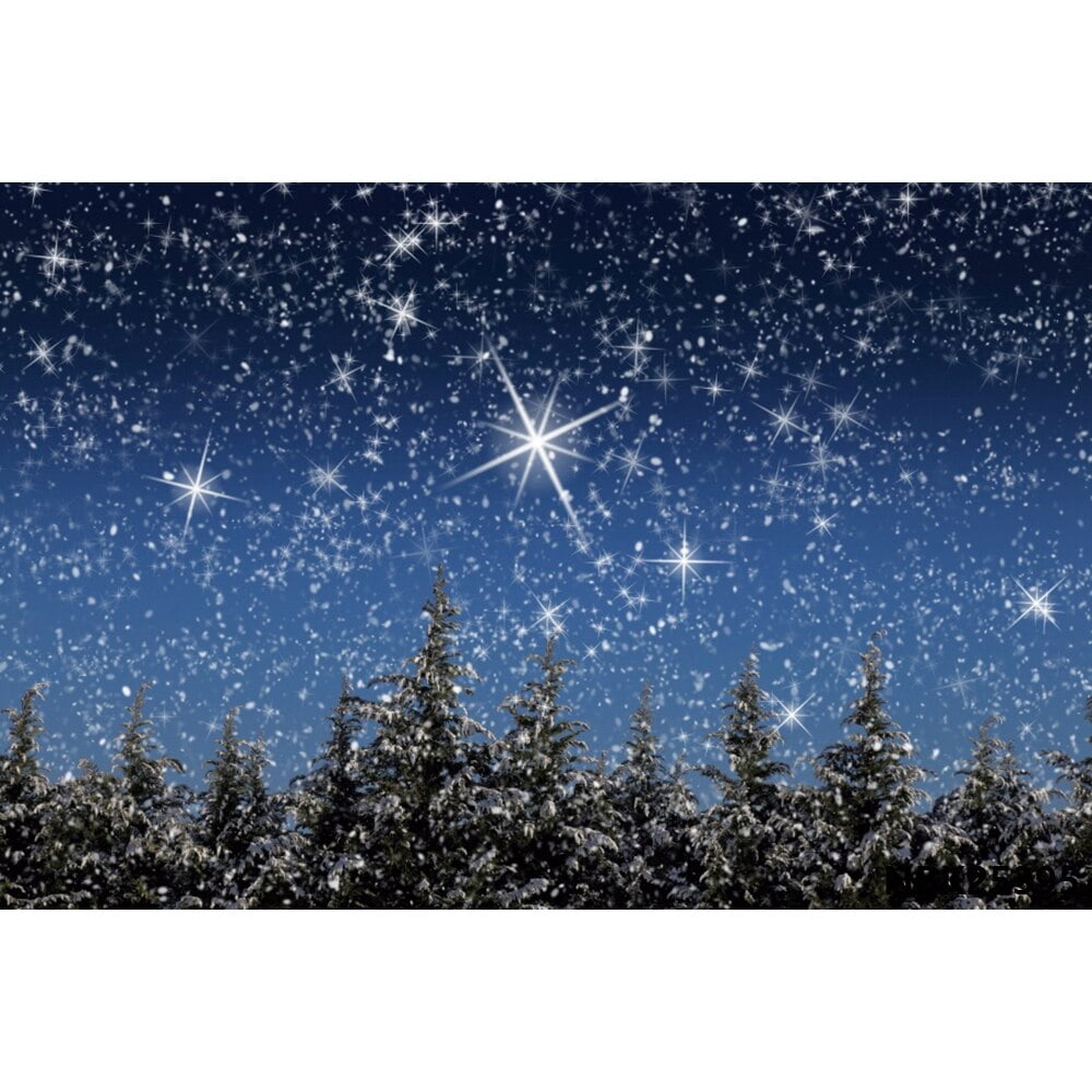 Winter Night Tree Snowflake Bokeh Road Nature Photography Backdrops Personalized Photographic ...