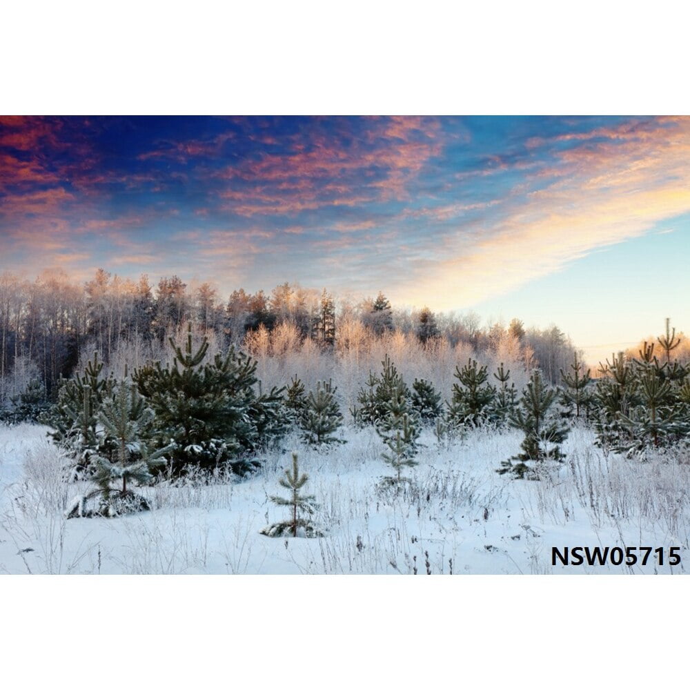 Winter Night Tree Snowflake Bokeh Road Nature Photography Backdrops ...