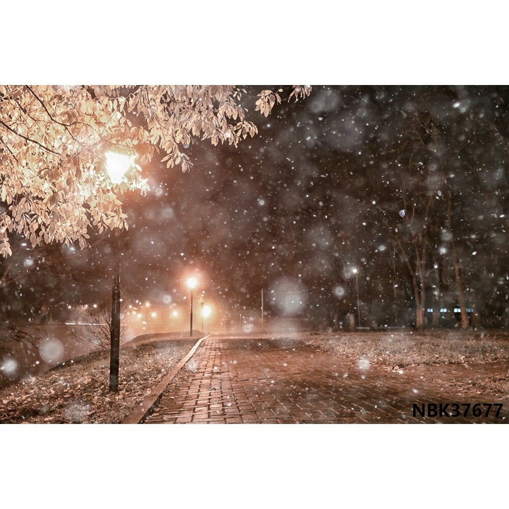 Winter Night Tree Snowflake Bokeh Road Nature Photography Backdrops ...