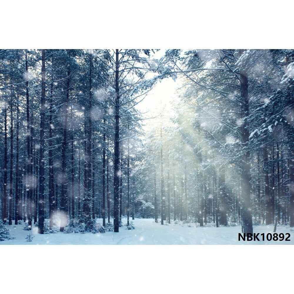 Winter Night Tree Snowflake Bokeh Road Nature Photography Backdrops ...