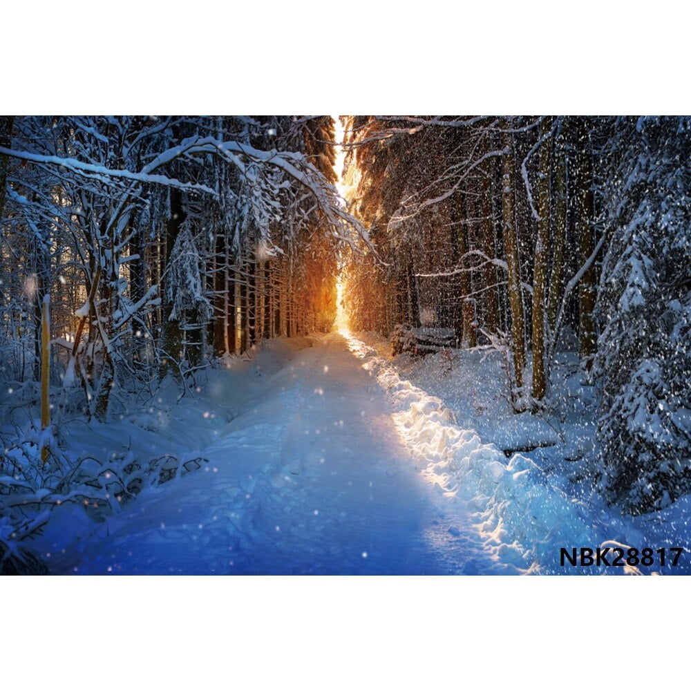 Winter Night Tree Snowflake Bokeh Road Nature Photography Backdrops ...