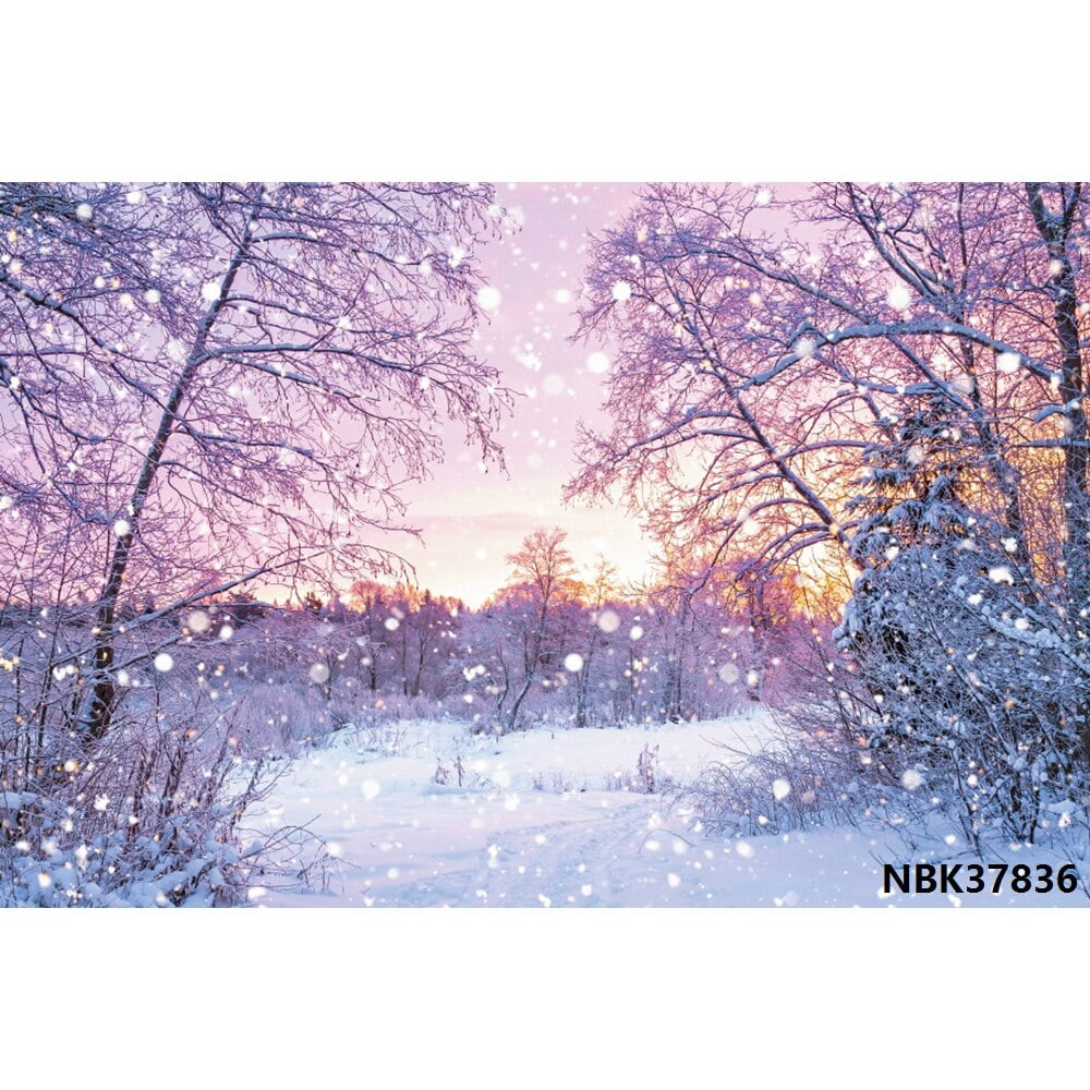 Winter Night Tree Snowflake Bokeh Road Nature Photography Backdrops ...