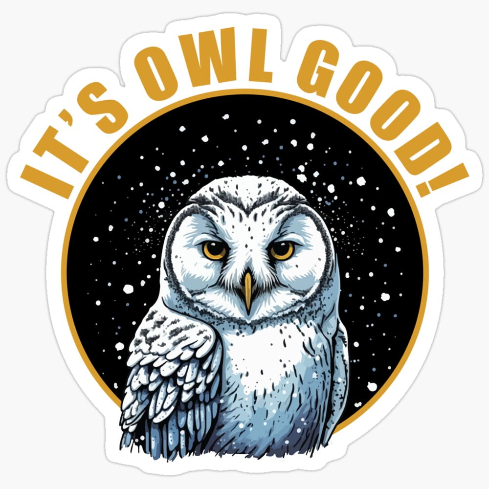 Winter Nights Snowy Owl Sticker Phone Decal Water Bottle Stickers Car ...