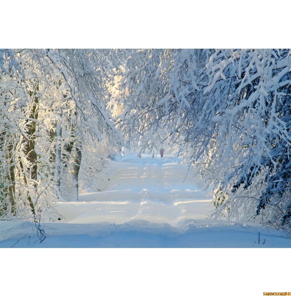 Winter Photography Backdrop Snow Forest Snowfield Grass Baby Kids ...
