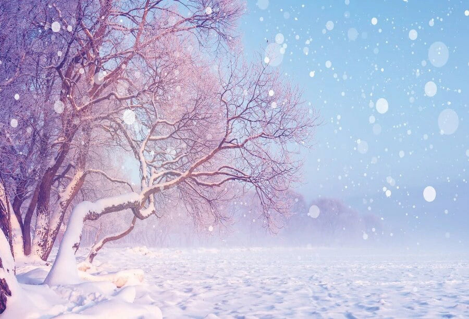 Winter Photophone Night Sky Moon Snow Forest Trees Family Portrait ...