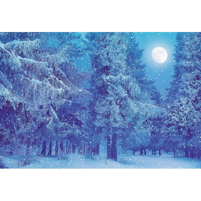 Winter Photophone Night Sky Moon Snow Forest Trees Family Portrait ...