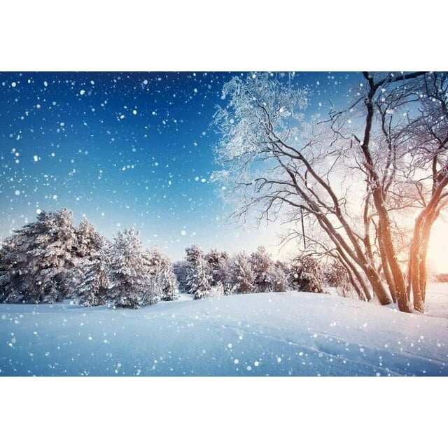 Winter Photophone Night Sky Moon Snow Forest Trees Family Portrait ...