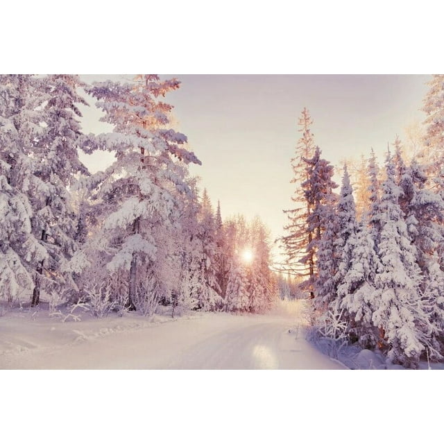 Winter Photophone Night Sky Moon Snow Forest Trees Family Portrait ...