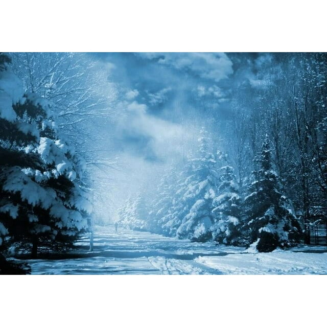 Winter Photophone Night Sky Moon Snow Forest Trees Family Portrait ...