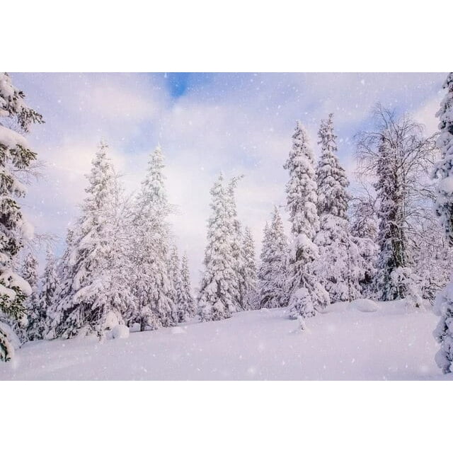 Winter Photophone Night Sky Moon Snow Forest Trees Family Portrait ...