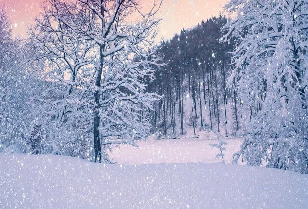 Winter Photophone Night Sky Moon Snow Forest Trees Family Portrait ...