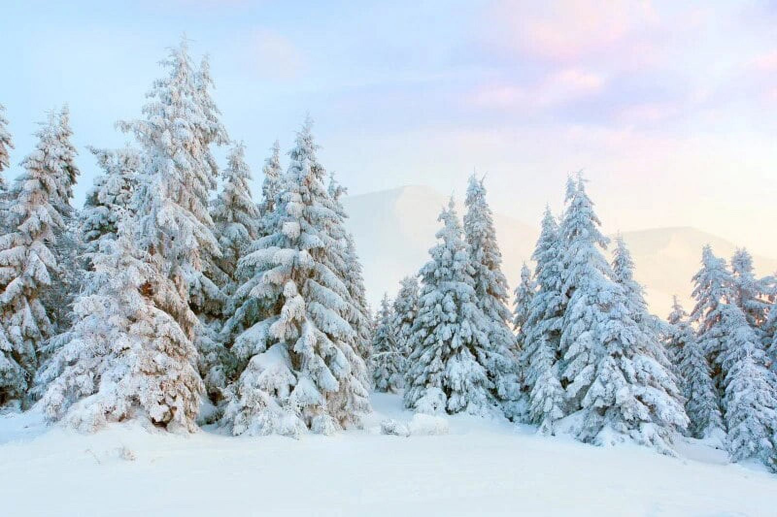 Winter Photophone Night Sky Moon Snow Forest Trees Family Portrait ...